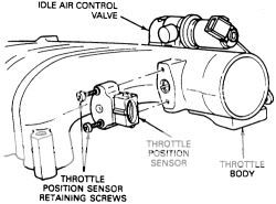 Tps | The Ranger Station