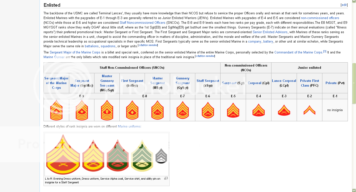 Terminal Lances - The backbone of the Corps : r/USMC