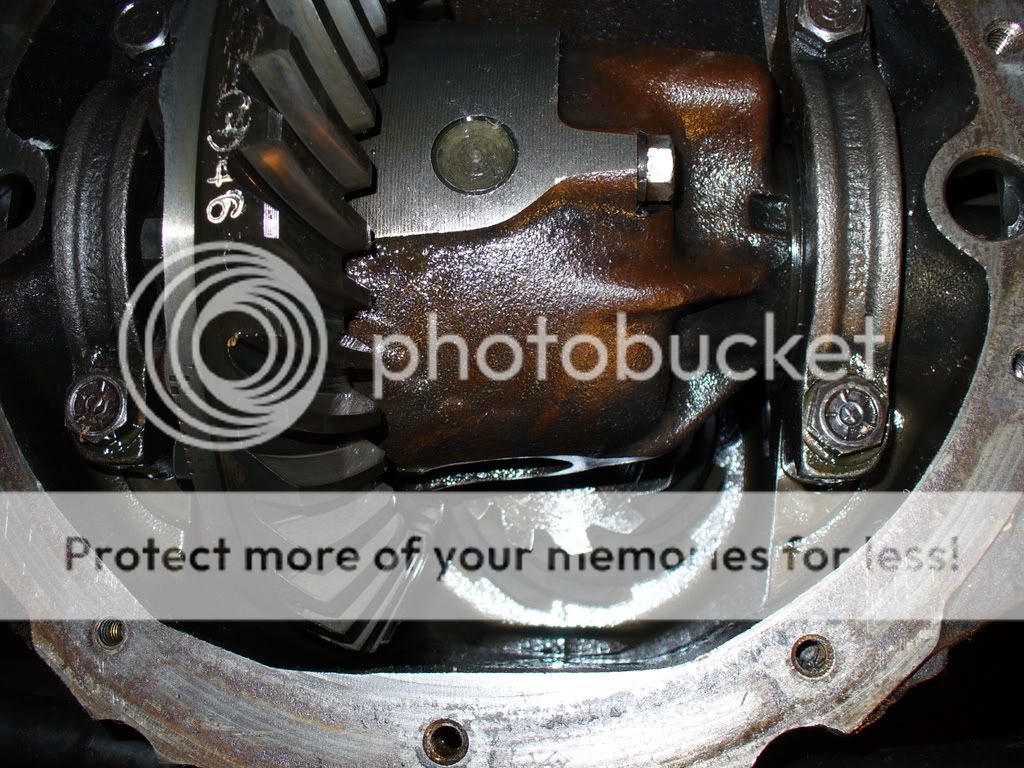 Posi Rear | Team Chevelle