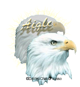 Aigle
