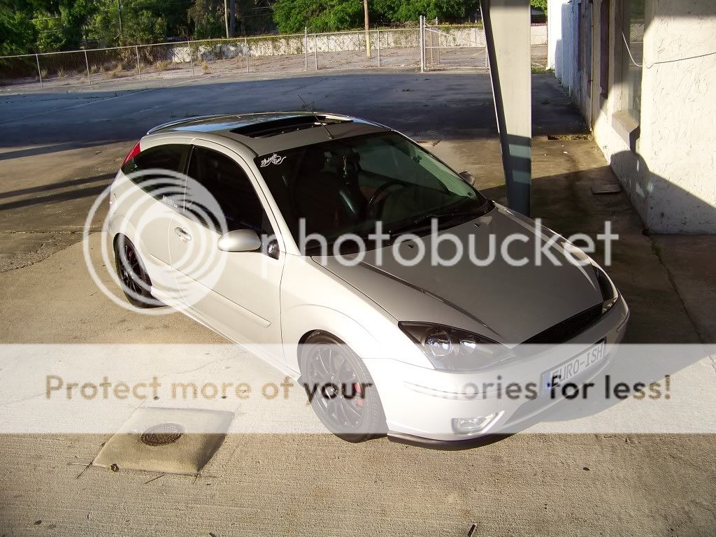 Best looking Focus Front bumper? | Page 3 | Focus Fanatics Forum