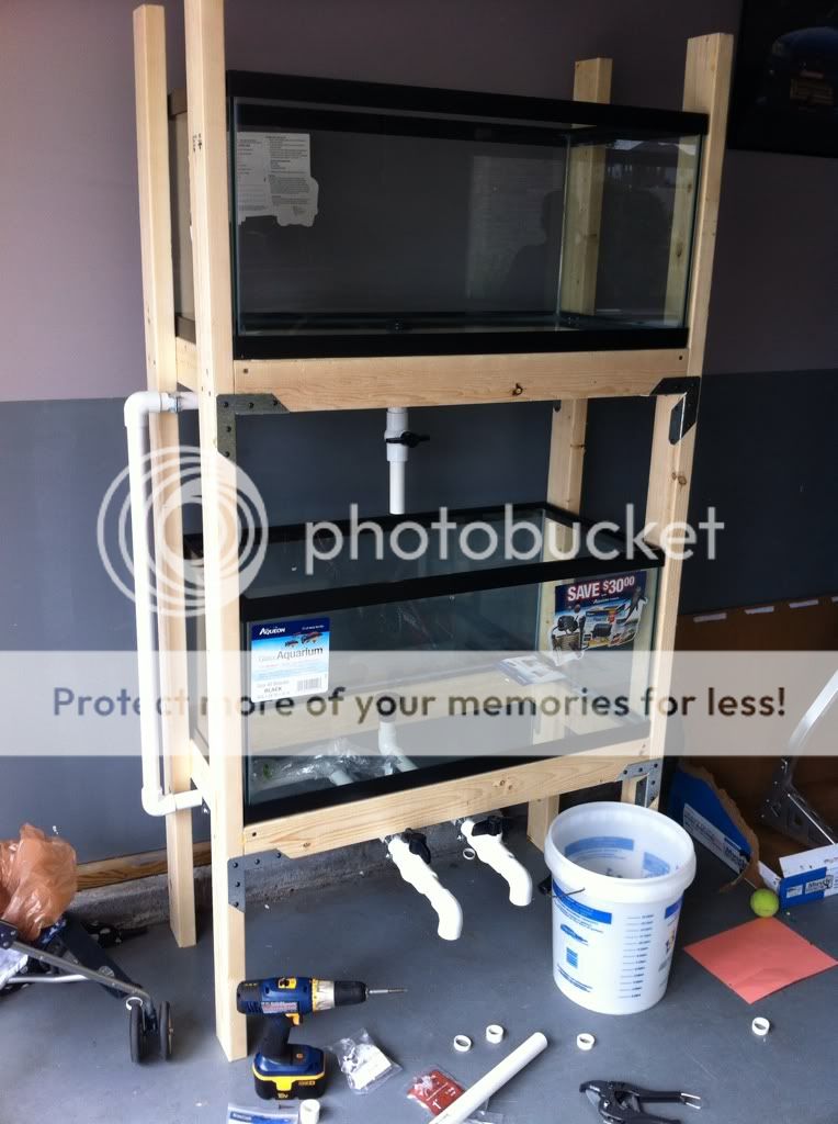 What does your RODI setup look like? | REEF2REEF Saltwater and Reef ...