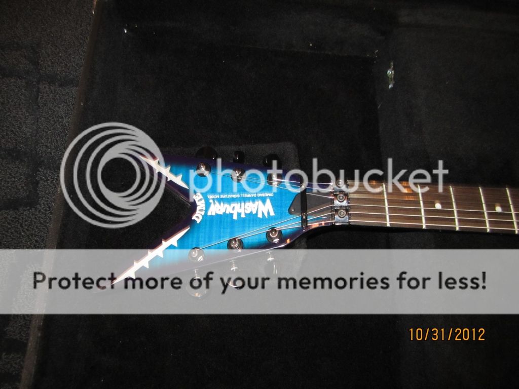 Washburn usa limited edition Dimebolt - Electric Guitars - Harmony Central